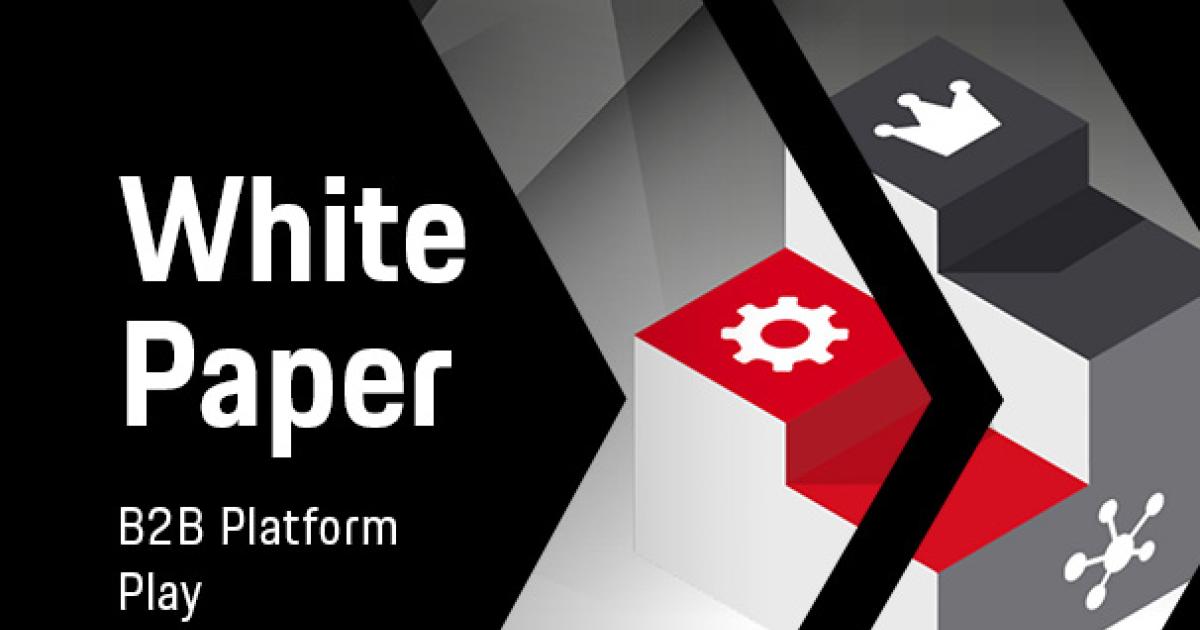 B2B Platform Play | Porsche Consulting